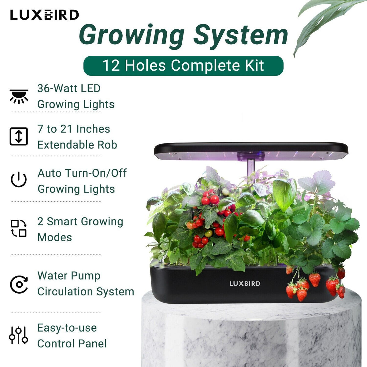 LUXBIRD Hydroponics Growing System Seed Germination Kit — INKBIRD NZ