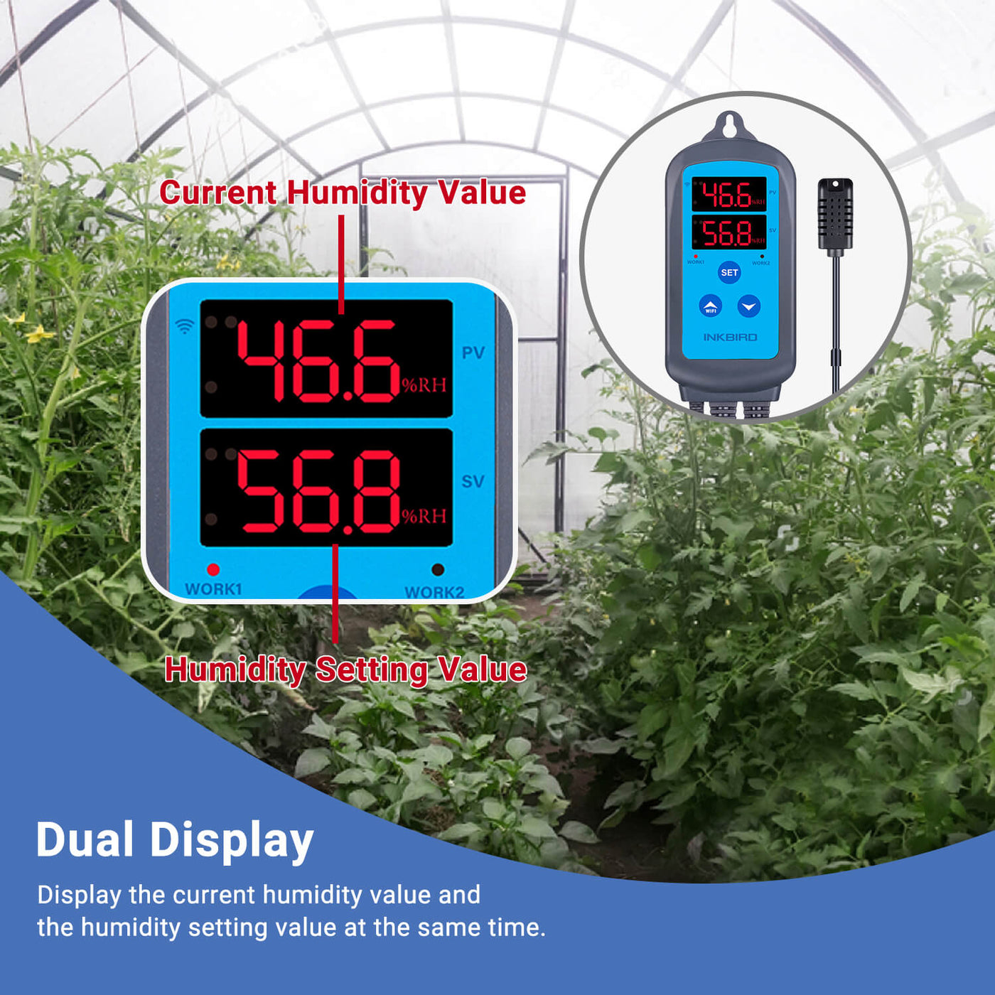 INKBIRD Dual Outlet Pre-Wired Humidistat Humidity Controller IHC-200 ...